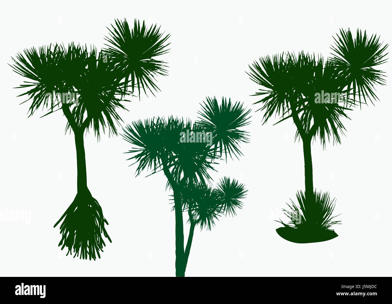 Pandanus roots hi-res stock photography and images - Alamy