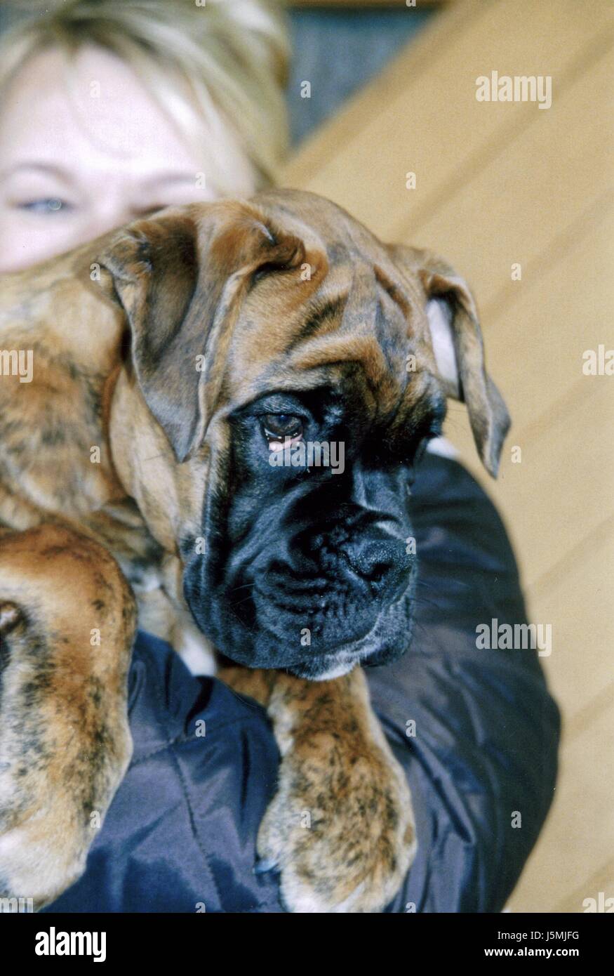 hand strong face portrait watchful human human being black swarthy ...