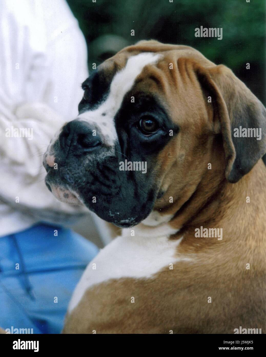 baron portrait 2 Stock Photo - Alamy