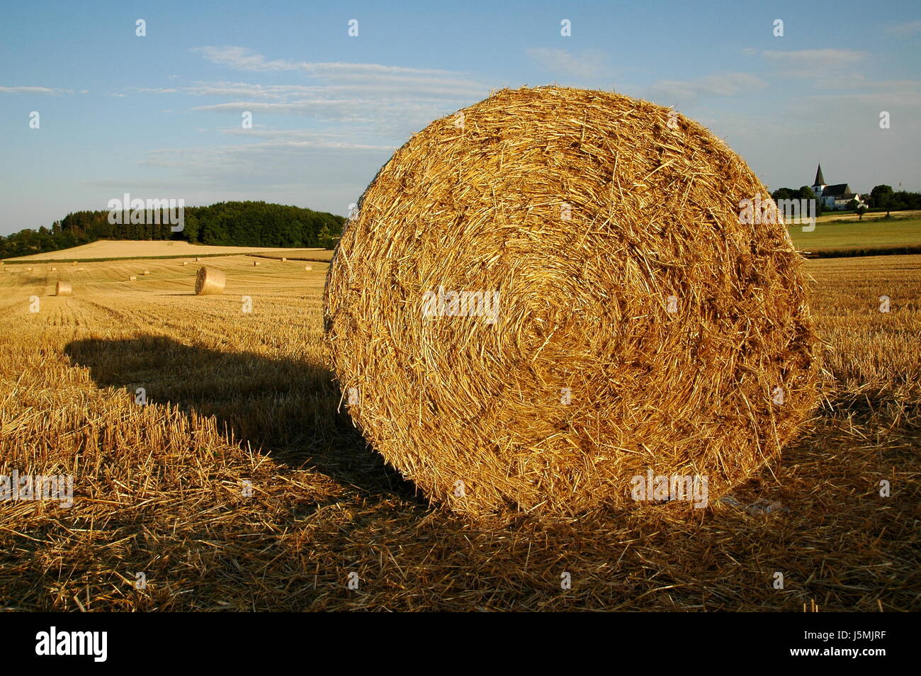 church agriculture farming summer summerly grain acre in the morning ...