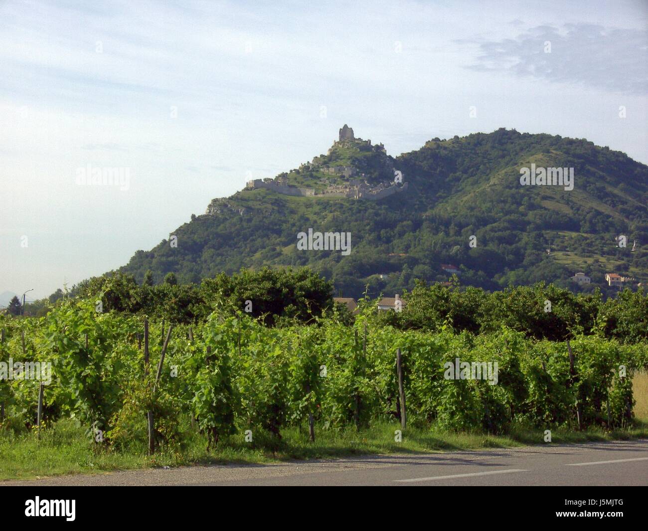 stone rock wall vineyard france ruin wrecks fortification shrunken vine ...