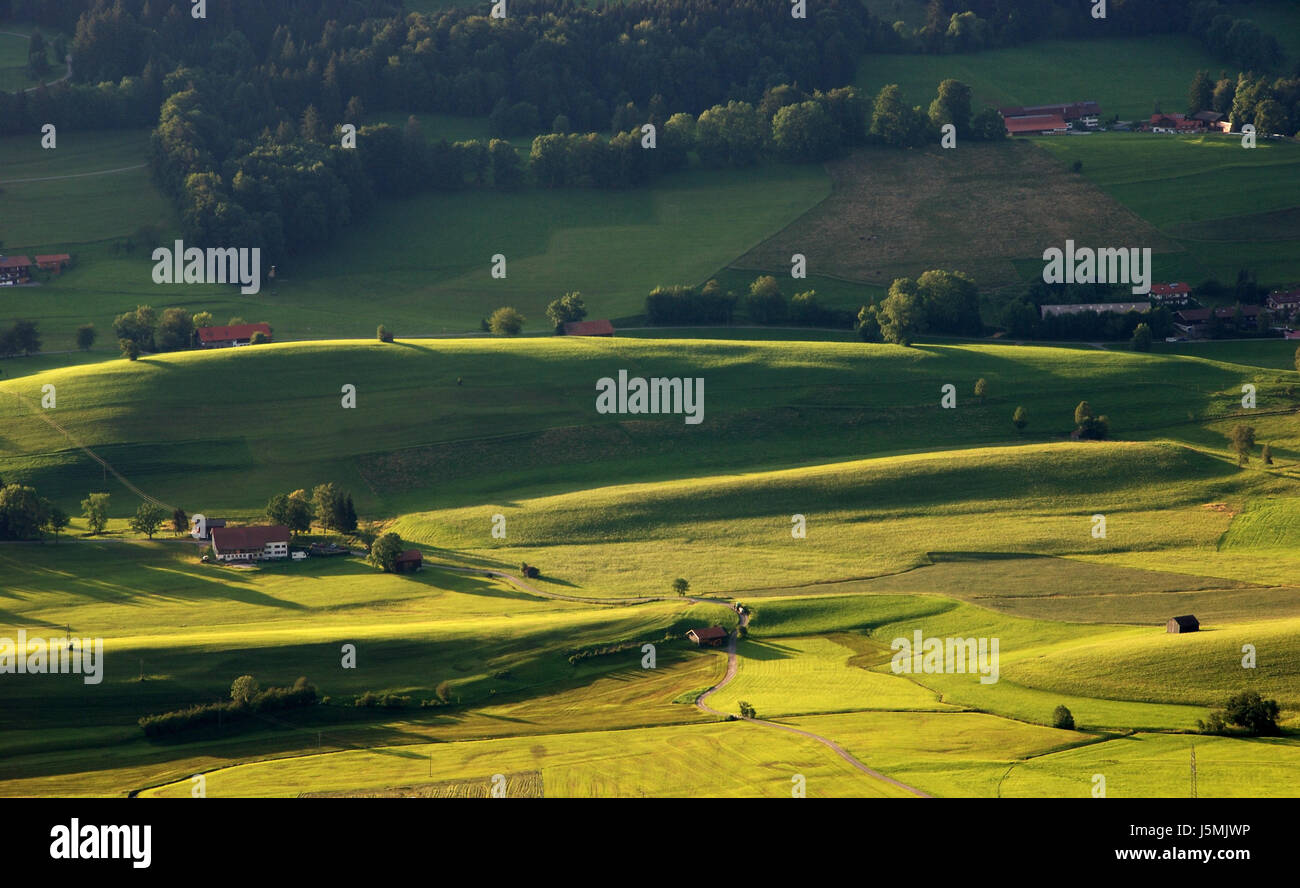 shine shines bright lucent light serene luminous environment enviroment ...