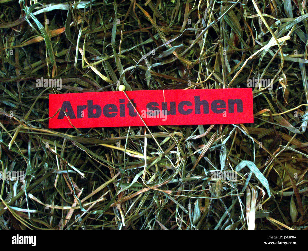 symbolic search hay needle unemployment labour market haycocks work job labor Stock Photo - Alamy