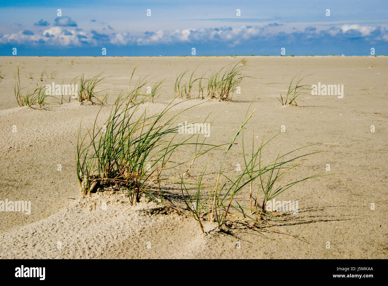 beach seaside the beach seashore water north sea salt water sea ocean ...