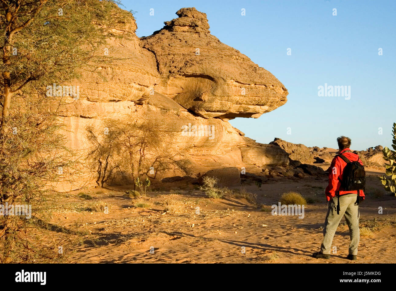 rock formation in the akakus,libya Stock Photo - Alamy