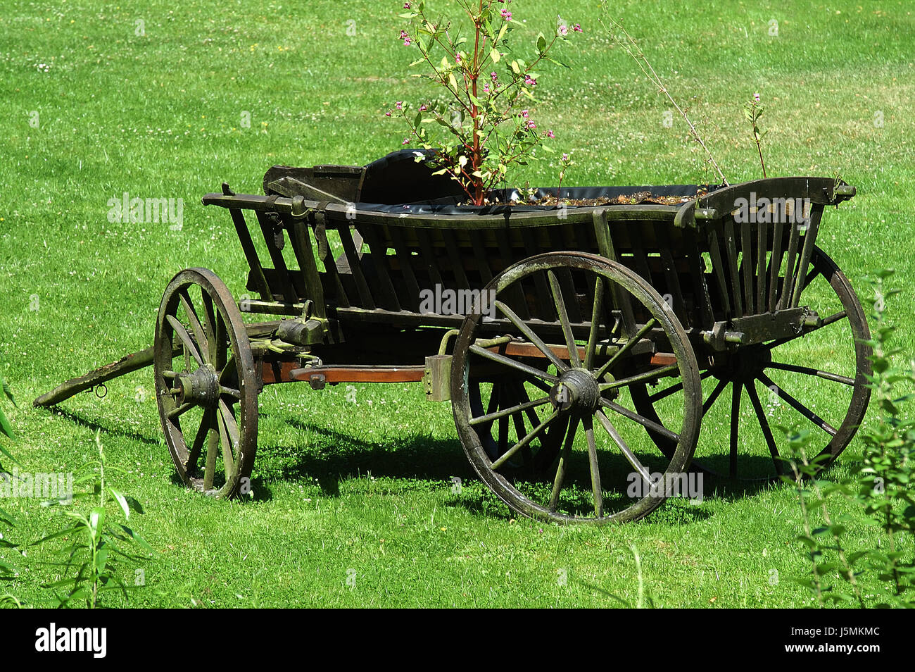 Fan cart hi-res stock photography and images - Alamy