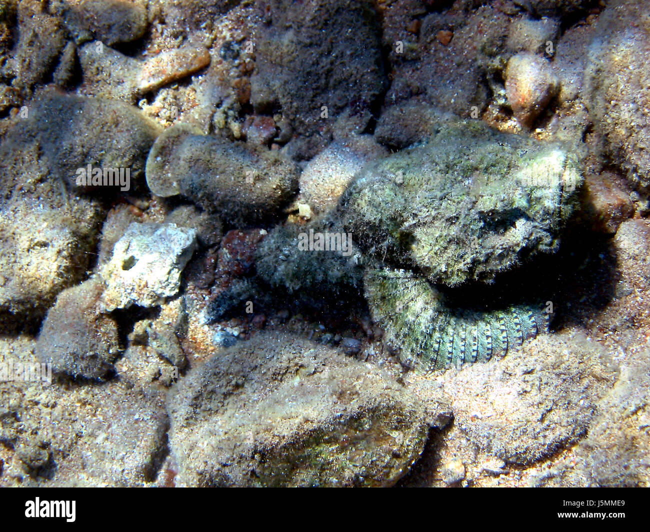 Diabolus hi-res stock photography and images - Alamy