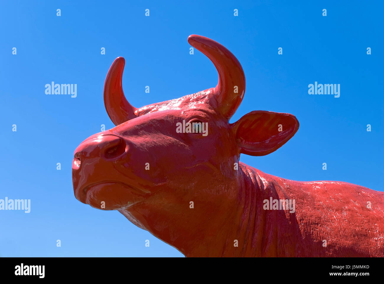 Bull horn formation hi-res stock photography and images - Alamy