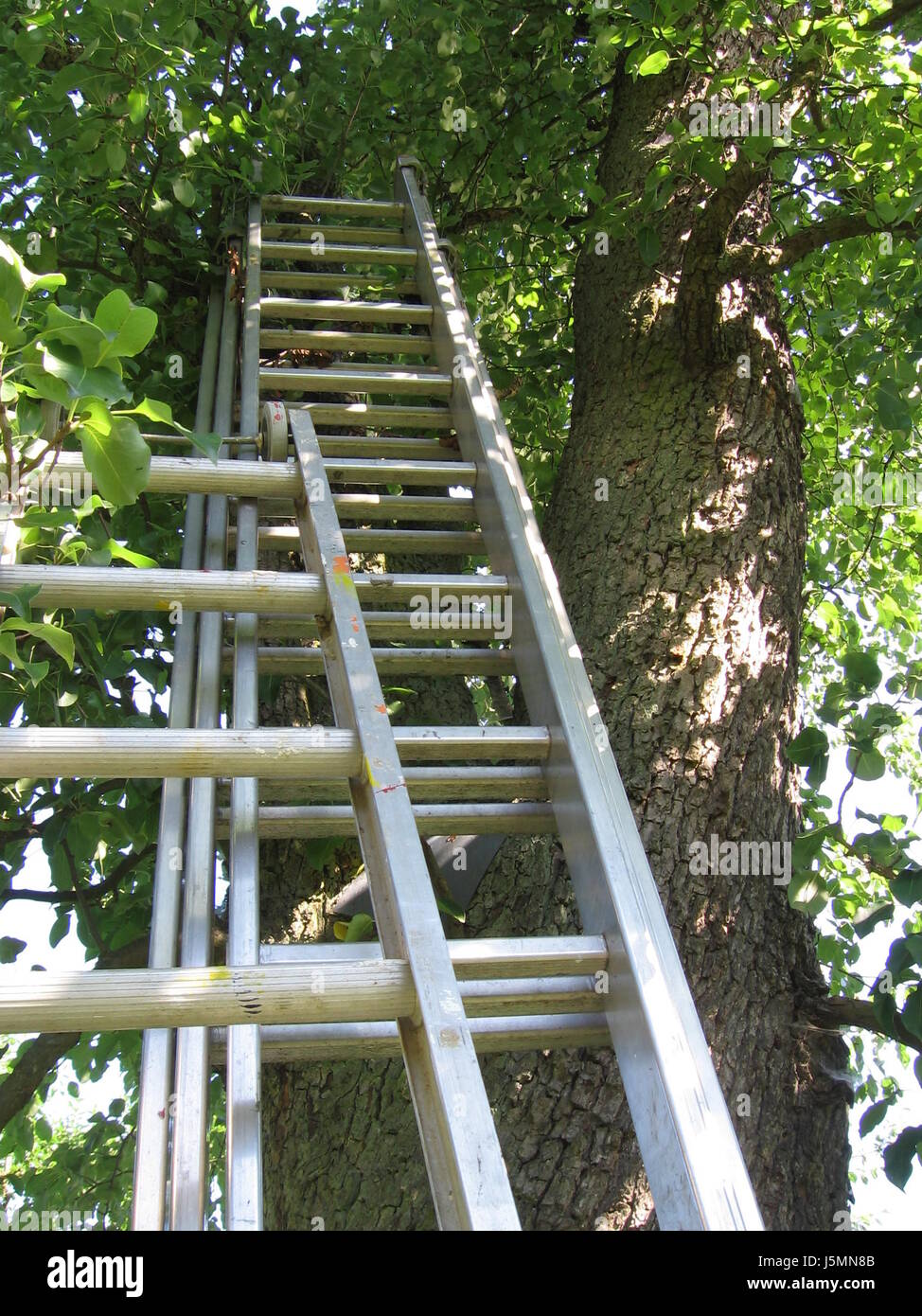 Ladder farming hi-res stock photography and images - Alamy