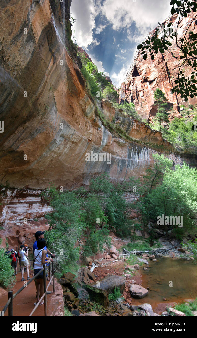 the grotto in zion national park Stock Photo - Alamy