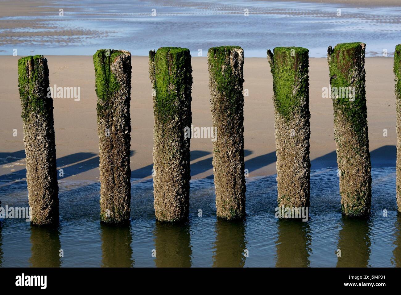 coastal protection ... (1 Stock Photo - Alamy