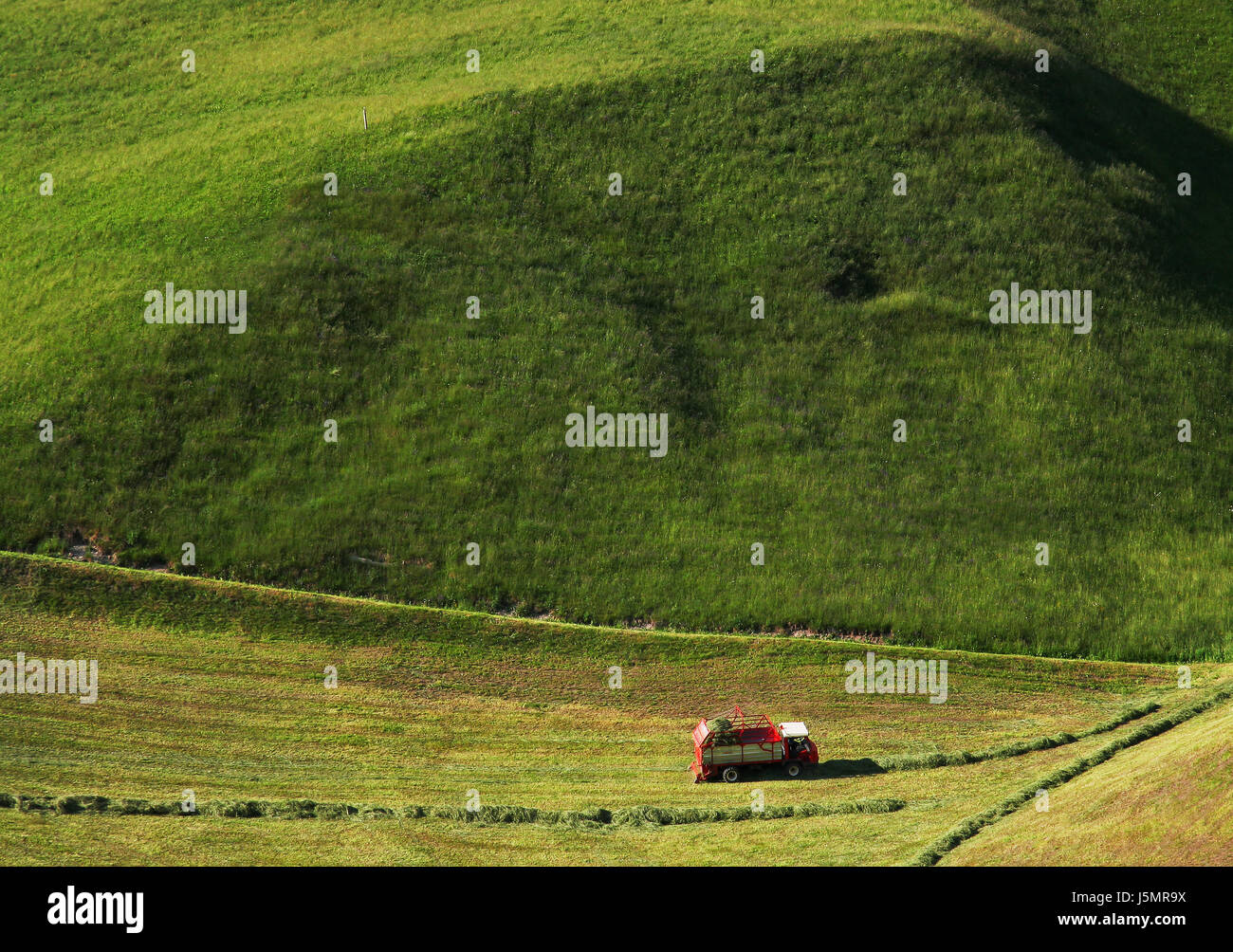 haymaking in the alps Stock Photo - Alamy