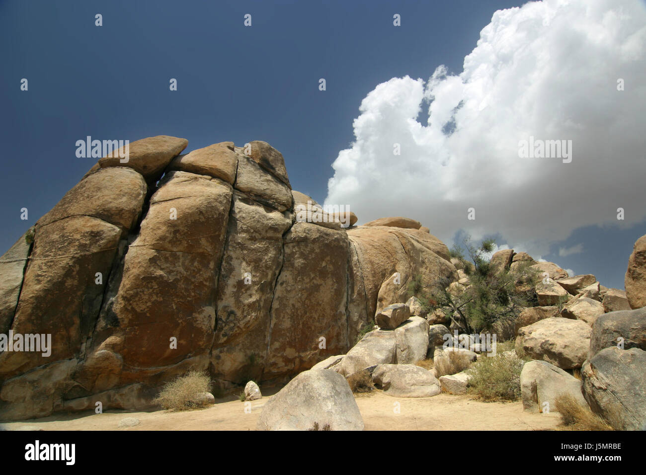 Wonderland of rocks joshua tree hi-res stock photography and images - Alamy