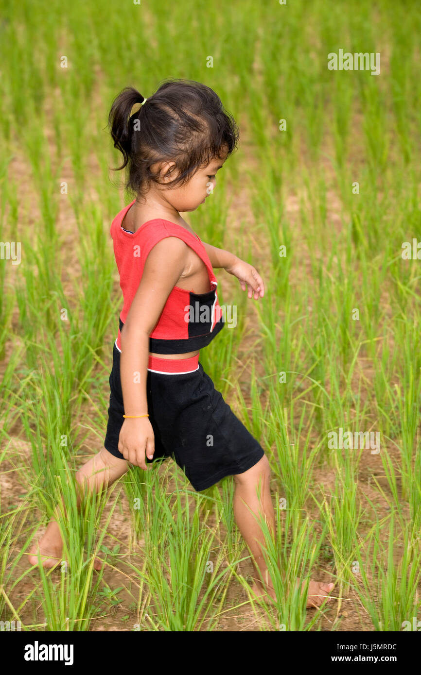 girl in the rice field Stock Photo - Alamy