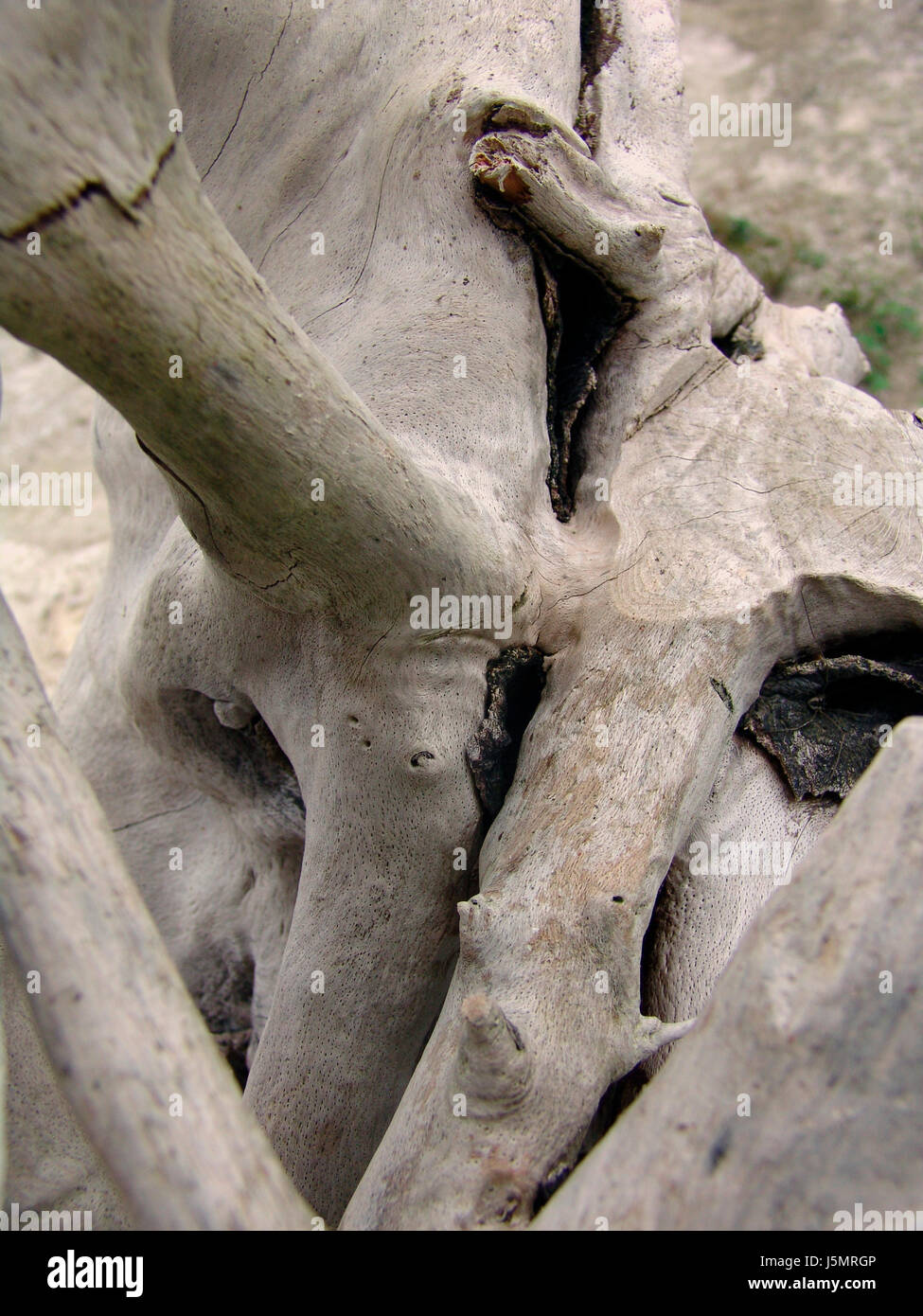 Holtz hi-res stock photography and images - Alamy