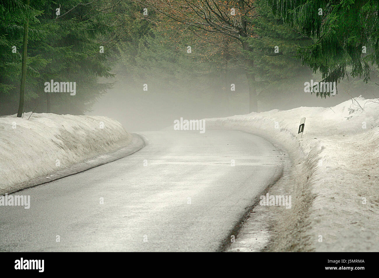 forest road in fog Stock Photo - Alamy