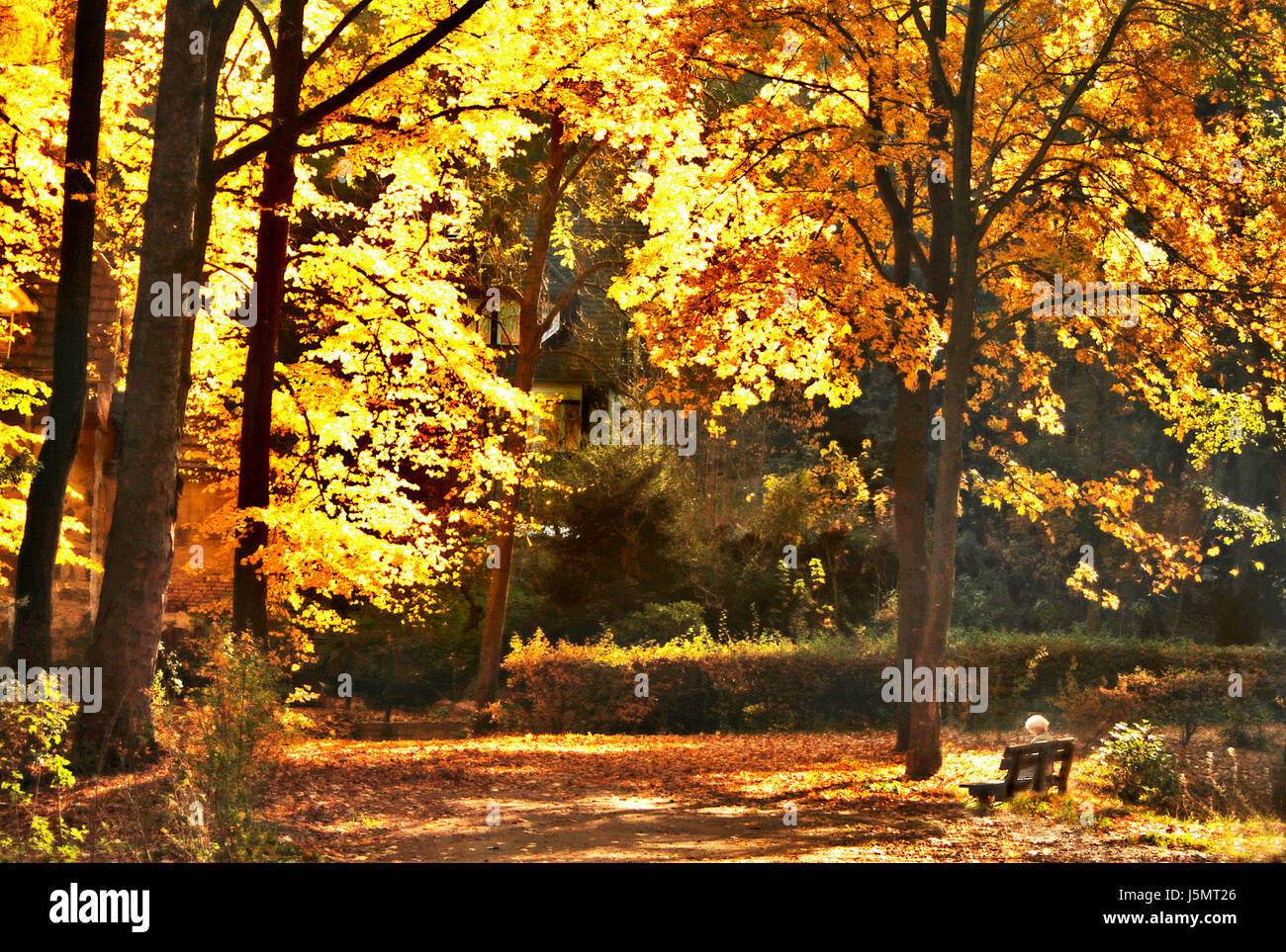 Woman reads in sun hi-res stock photography and images - Alamy