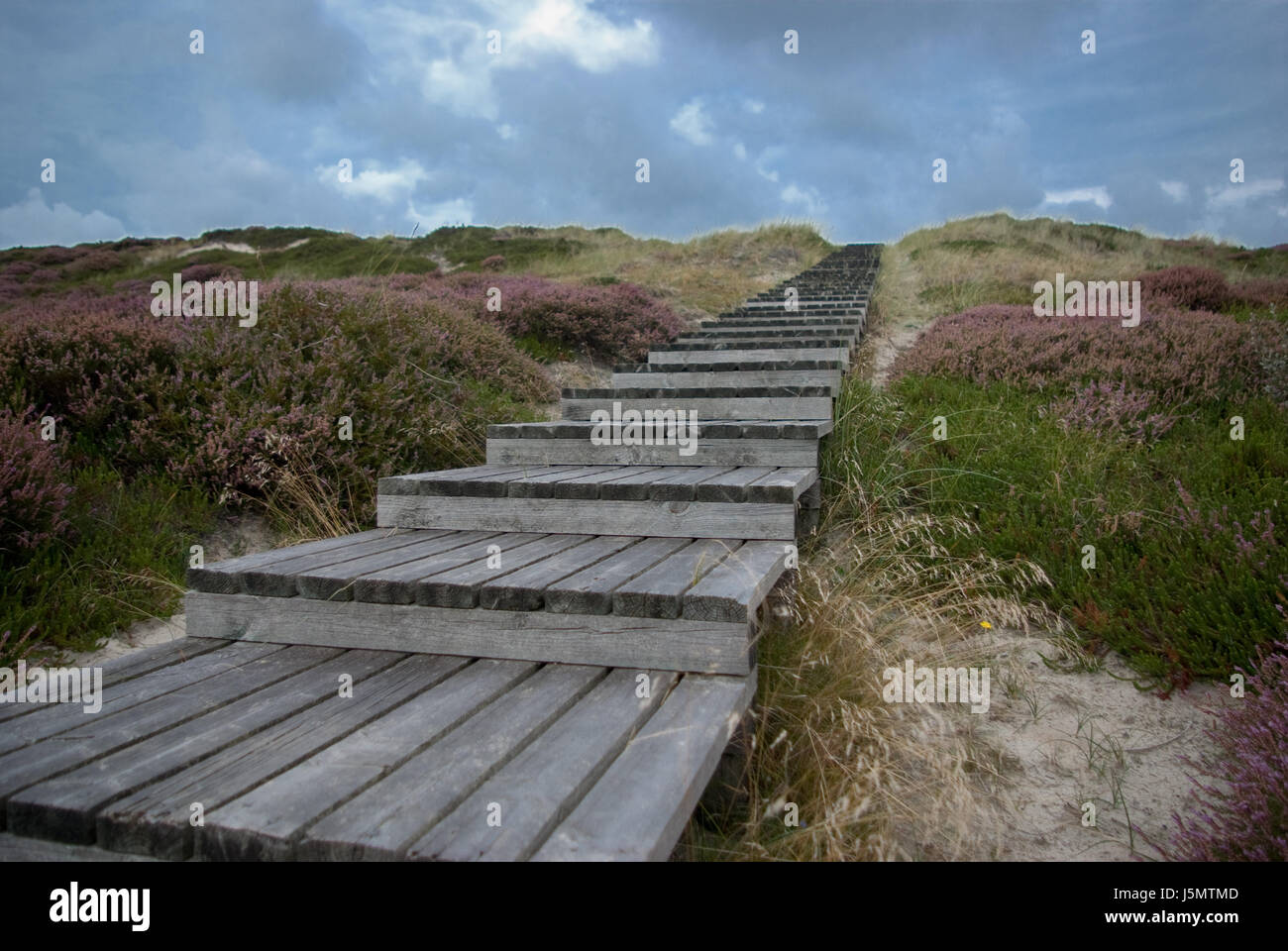 stairs upwards wood dune sylt Northern Germany path way germany german ...