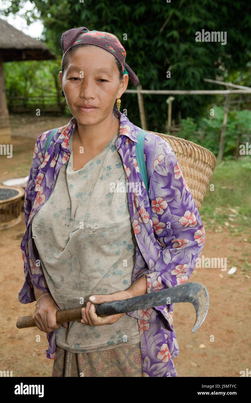hmong woman with sickle Stock Photo - Alamy