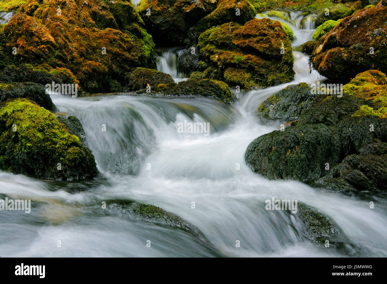 Panta rei hi-res stock photography and images - Alamy