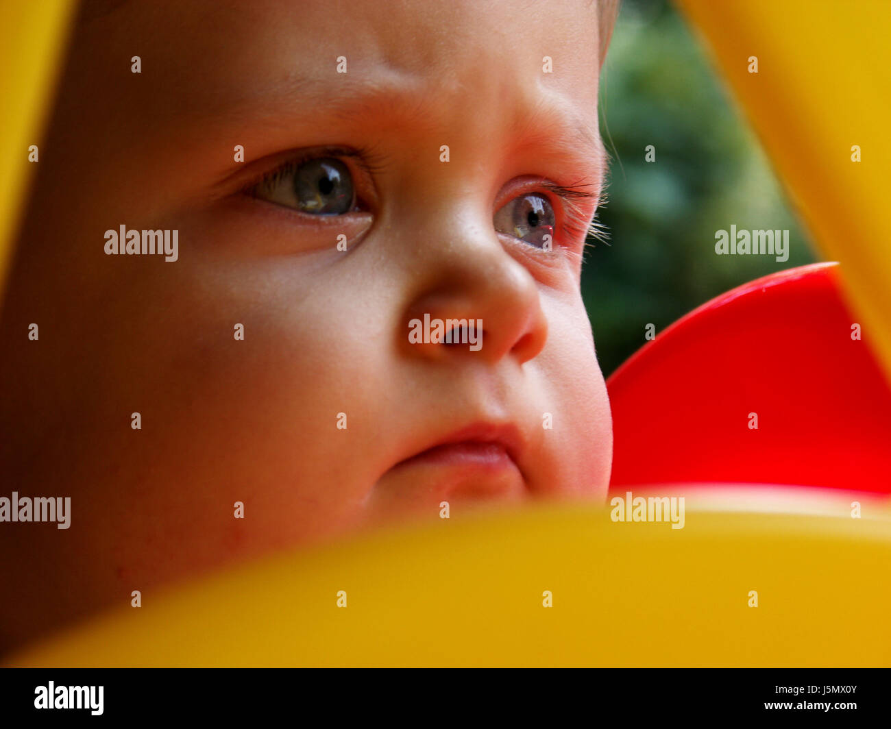 earnest sad eyes look glancing see view looking peeking looking at ...