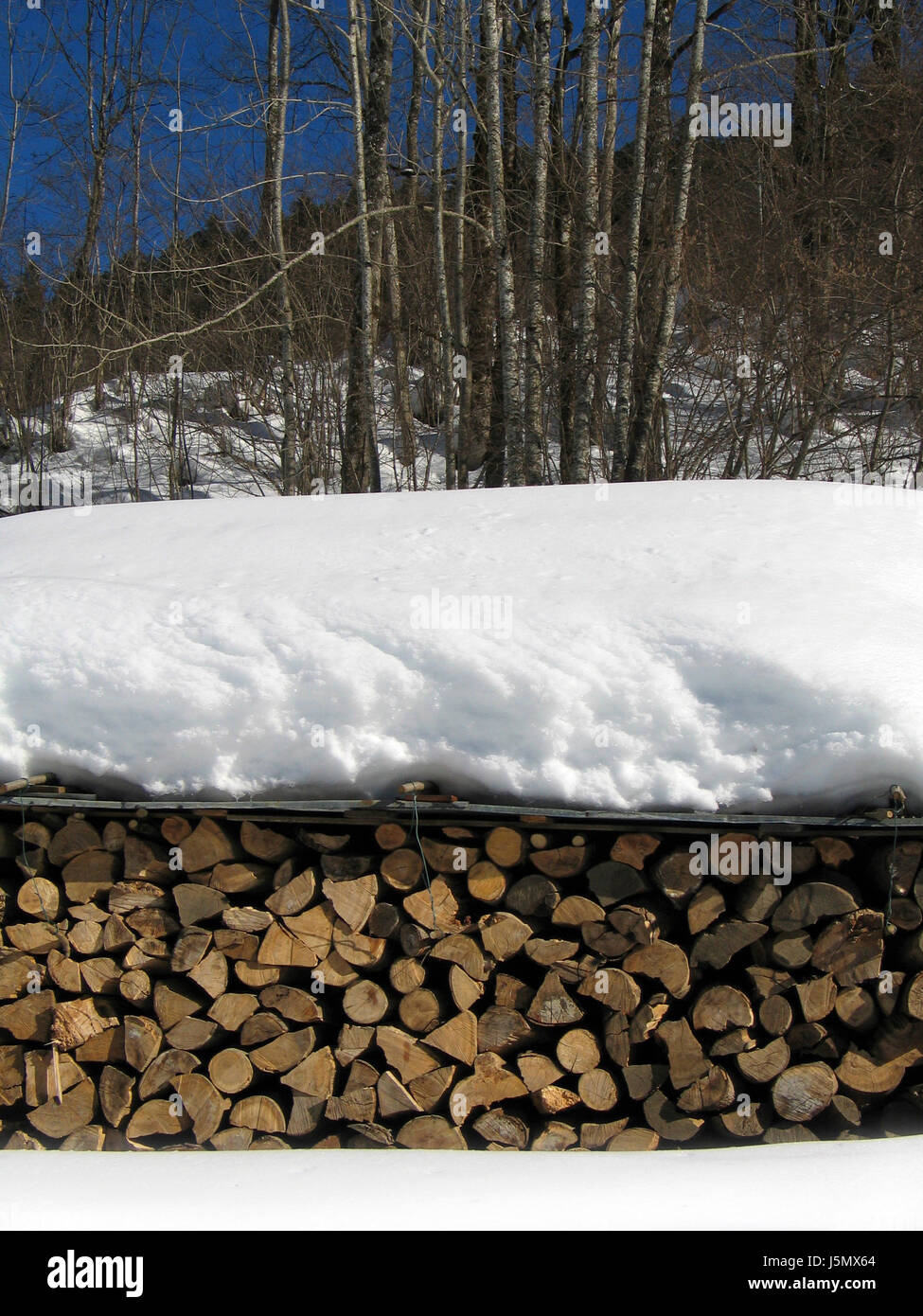 wood before httn Stock Photo - Alamy