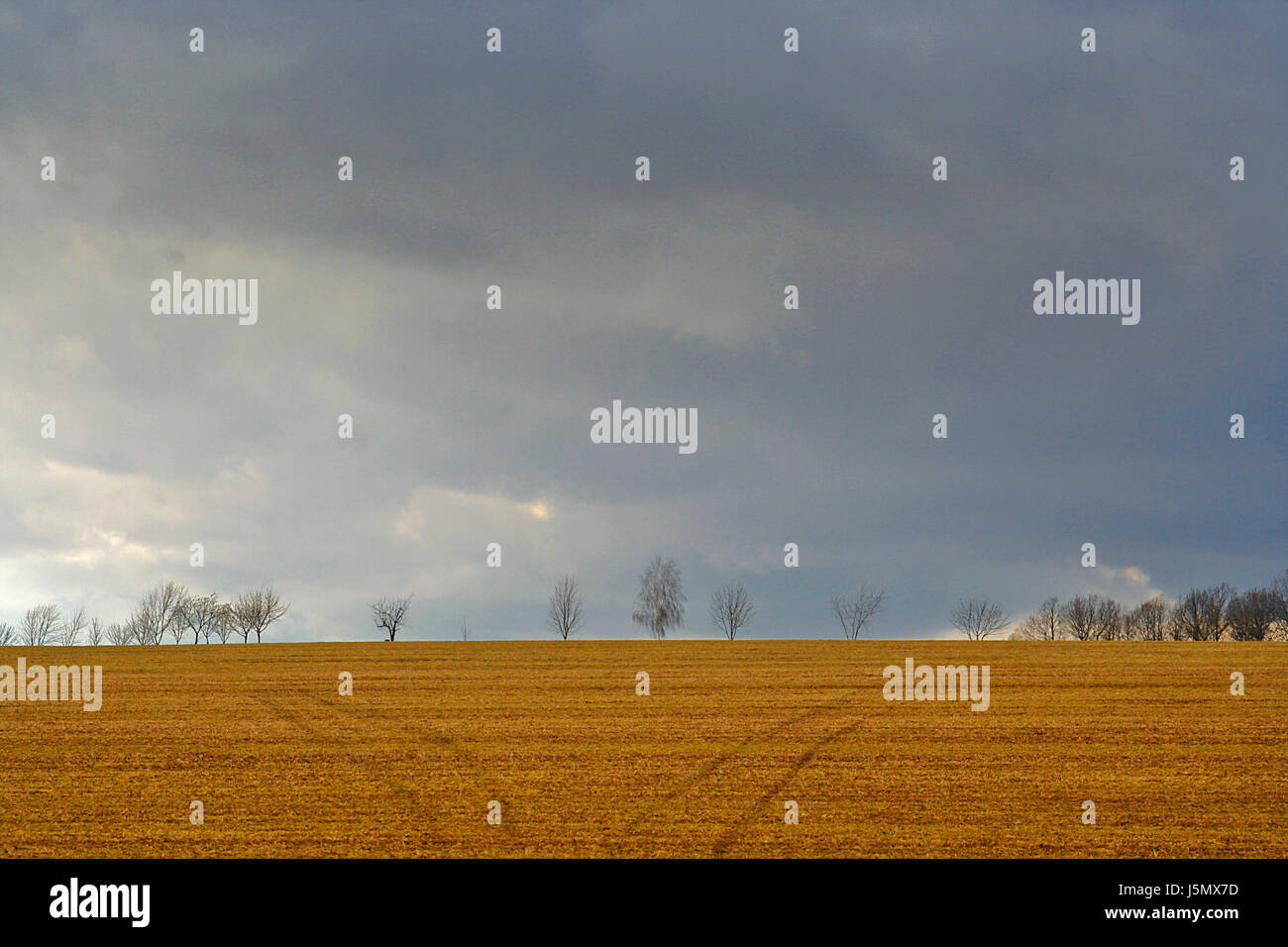 tree trees cold agriculture farming field dismal acre cool stubble ...