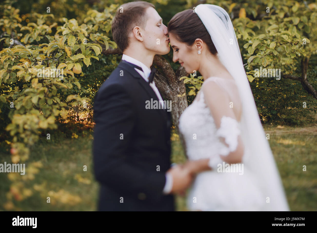 bride and groom walking in summer green park Stock Photo - Alamy
