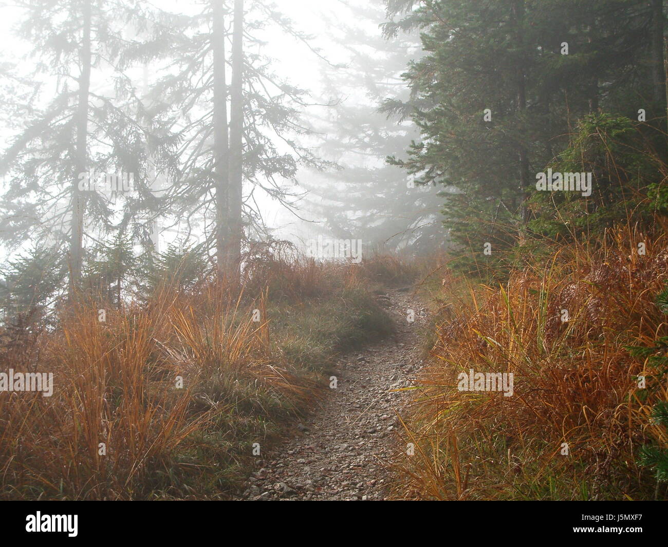 mountain path in clouds 5 Stock Photo - Alamy