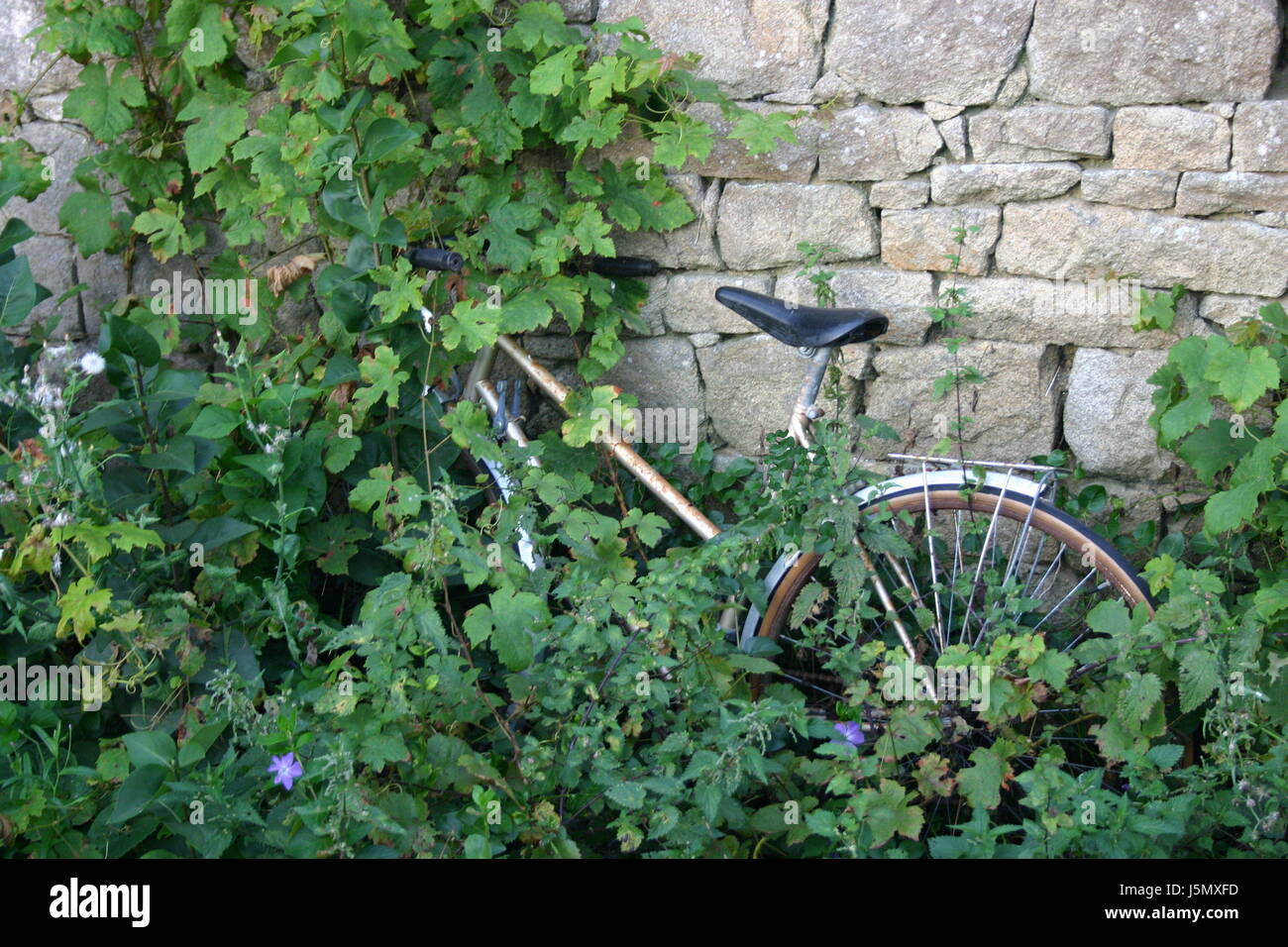 sport sports stone wheel wall rubble bike bicycle cycle ivy drive sport ...