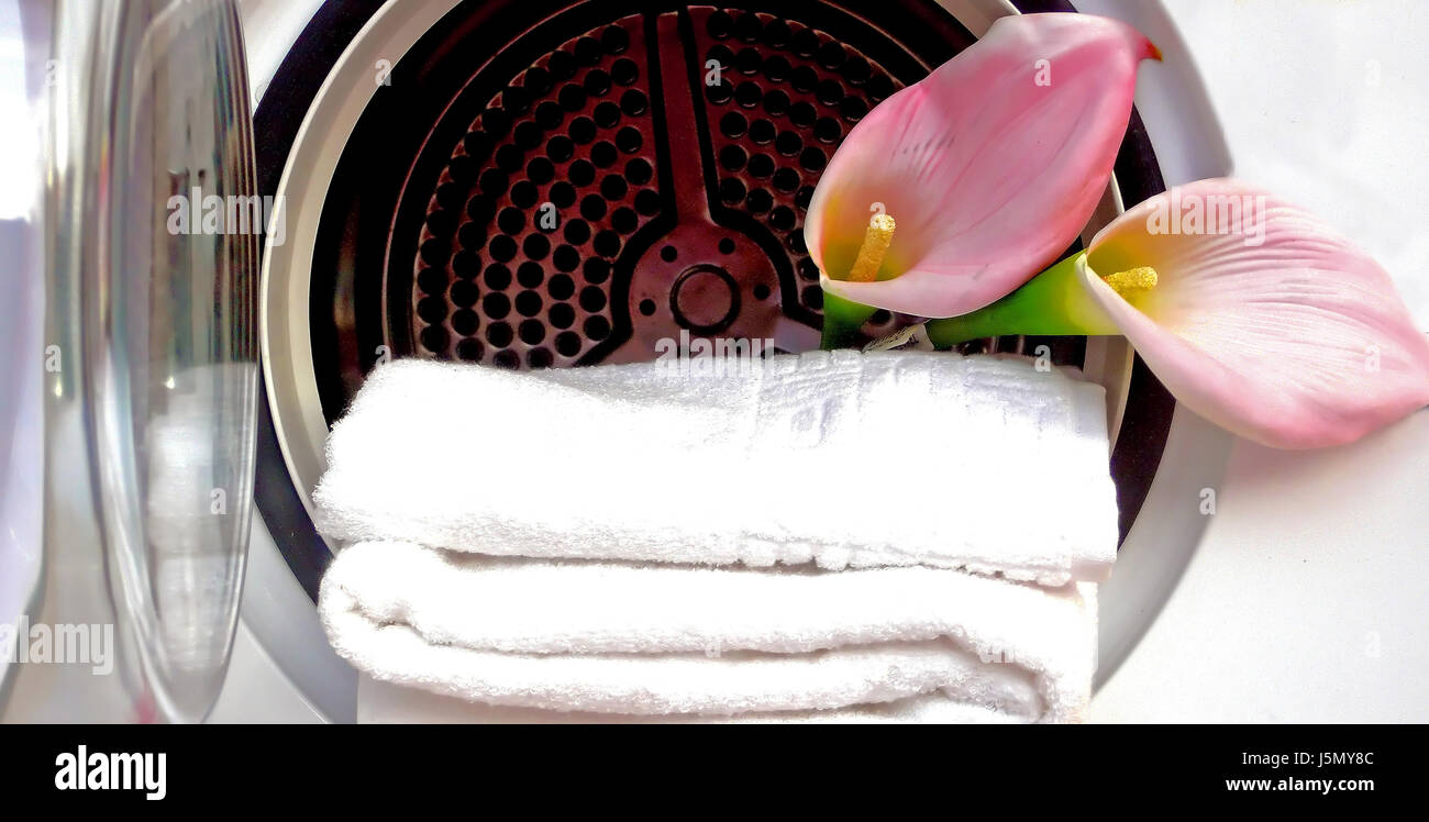 engine drive motor flower flowers plant blank european caucasian wash ...