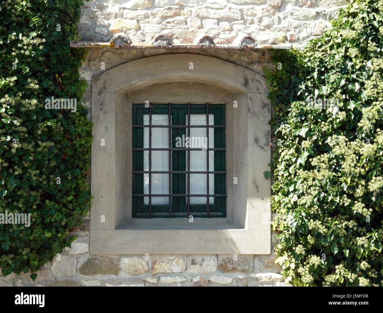 plant window porthole dormer window pane romanticism wall twiners ...