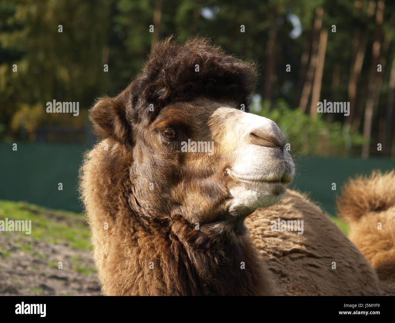 Freizetpark hi-res stock photography and images - Alamy