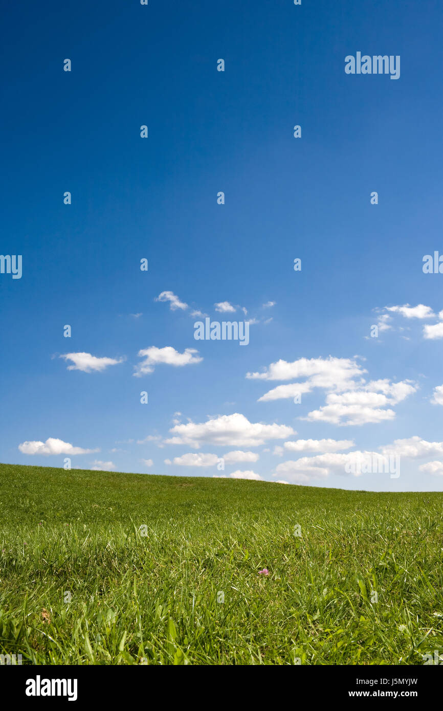 blue summer summerly azure edge-wise idyll sky blue meadow firmament ...