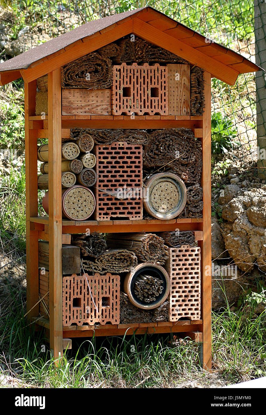 Insekrenparadies hi-res stock photography and images - Alamy