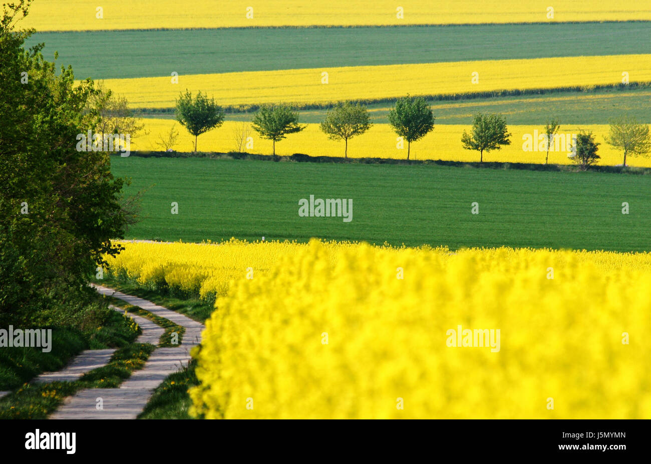 way through fields Stock Photo - Alamy