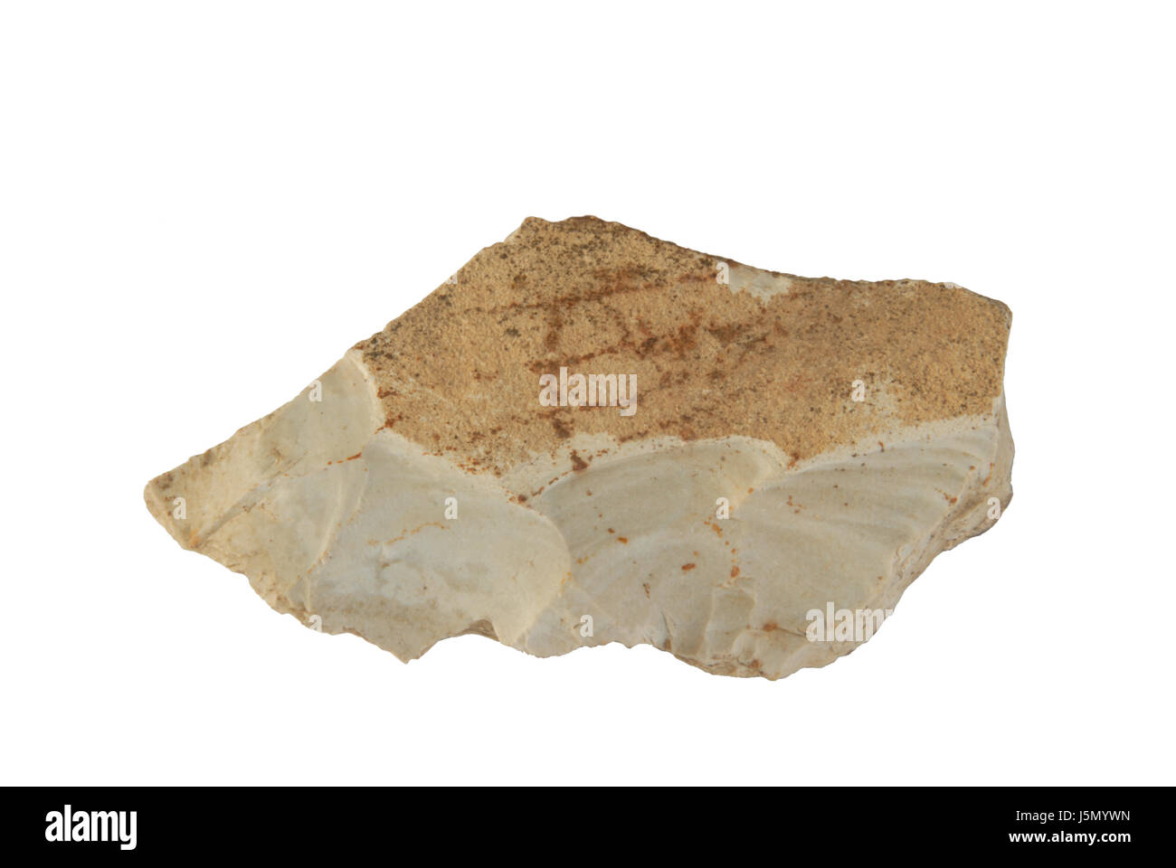 Living archeology Cut Out Stock Images & Pictures - Alamy