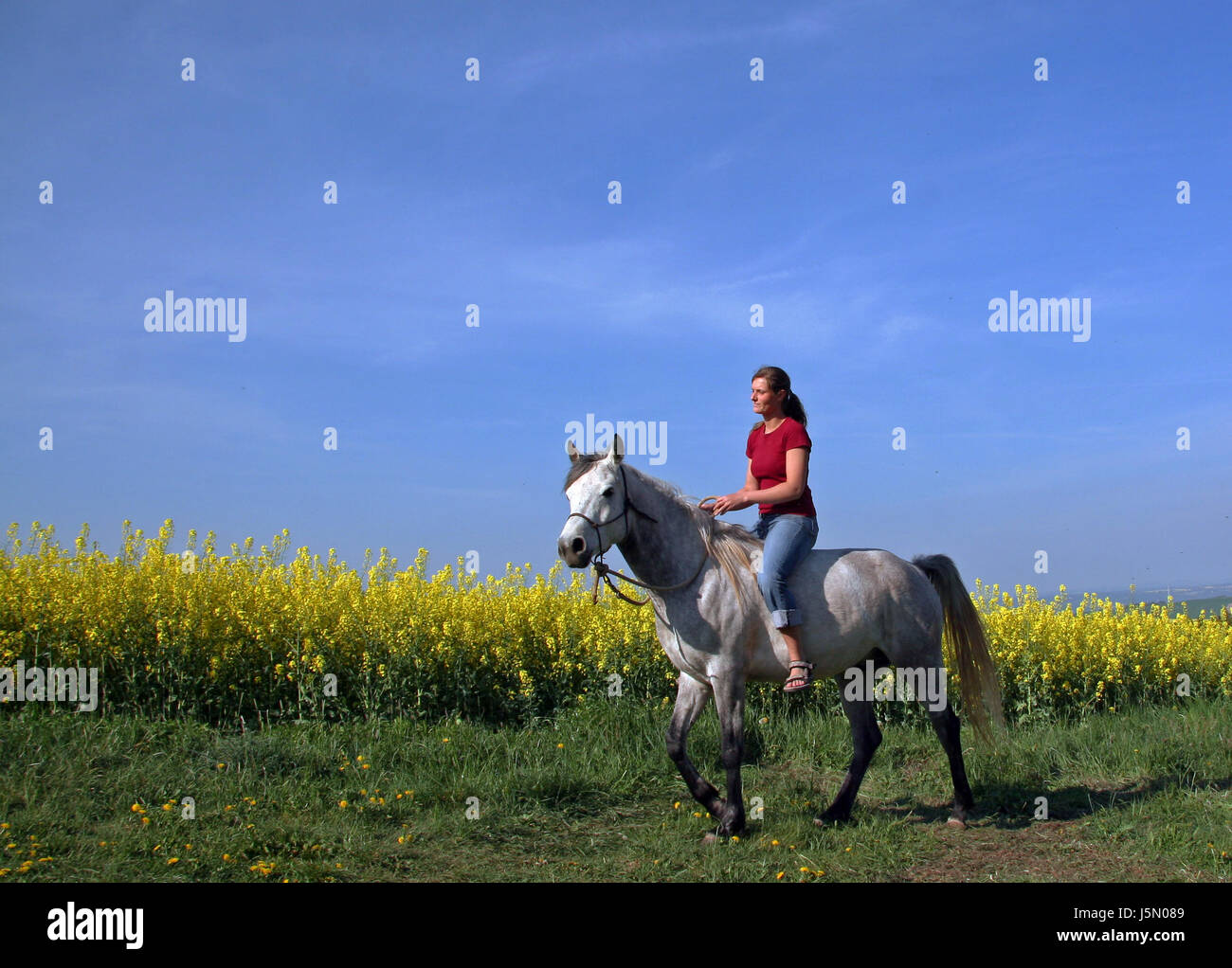 ride through the spring Stock Photo - Alamy