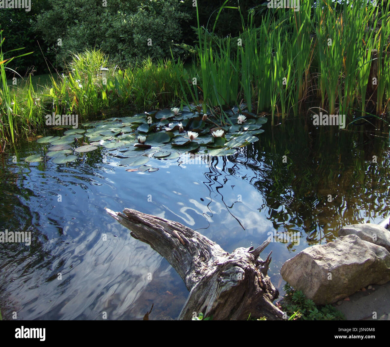 Pond terrace hi-res stock photography and images - Alamy