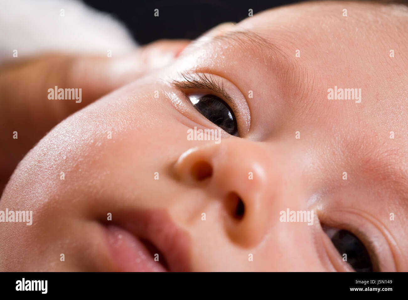 curious nosey nosy face eyes look glancing see view looking peeking ...