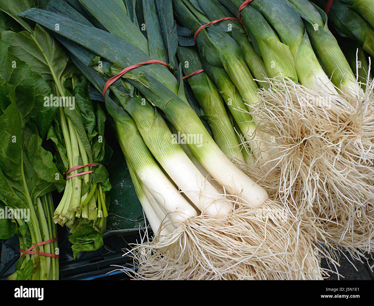 green root vegetable hold lace leek savoury elastic band harvest red ...