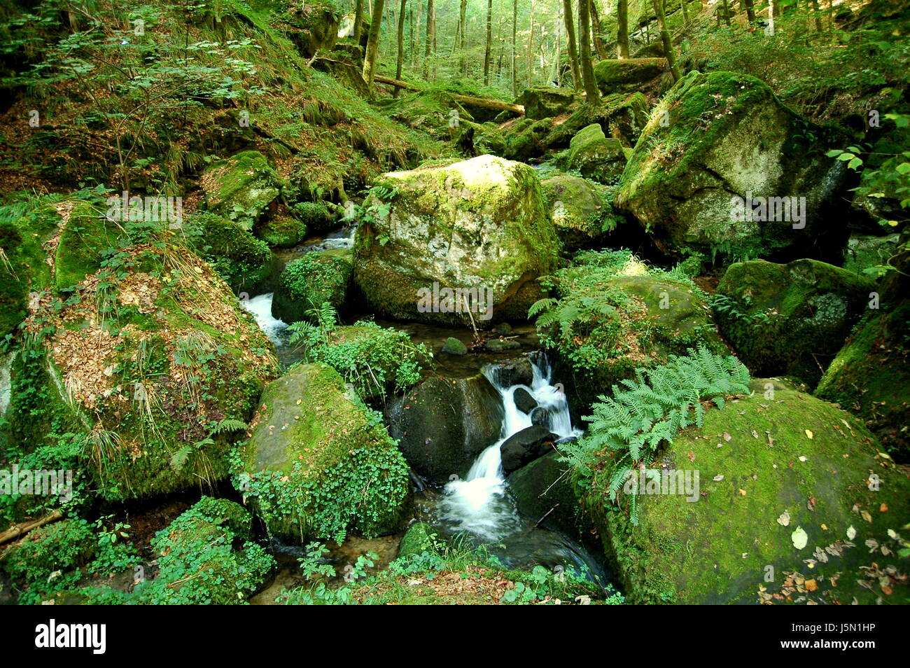 Rill hi-res stock photography and images - Alamy