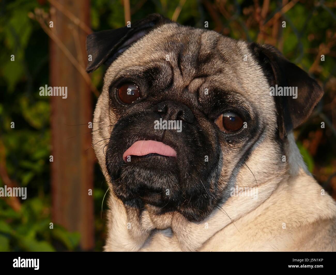 Questioner hi-res stock photography and images - Alamy