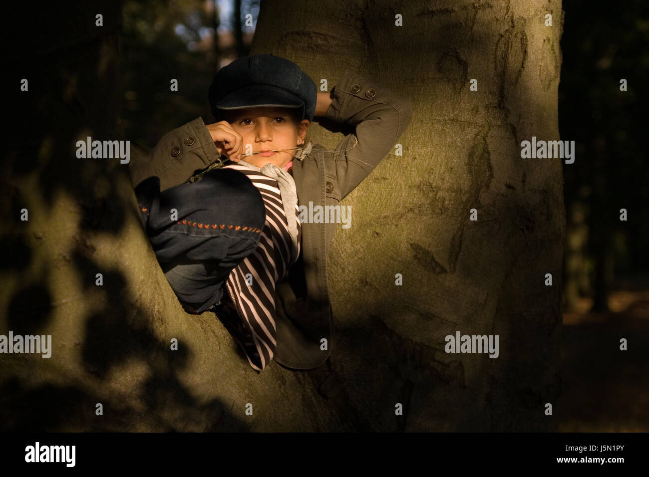 The tree of lie hi-res stock photography and images - Alamy