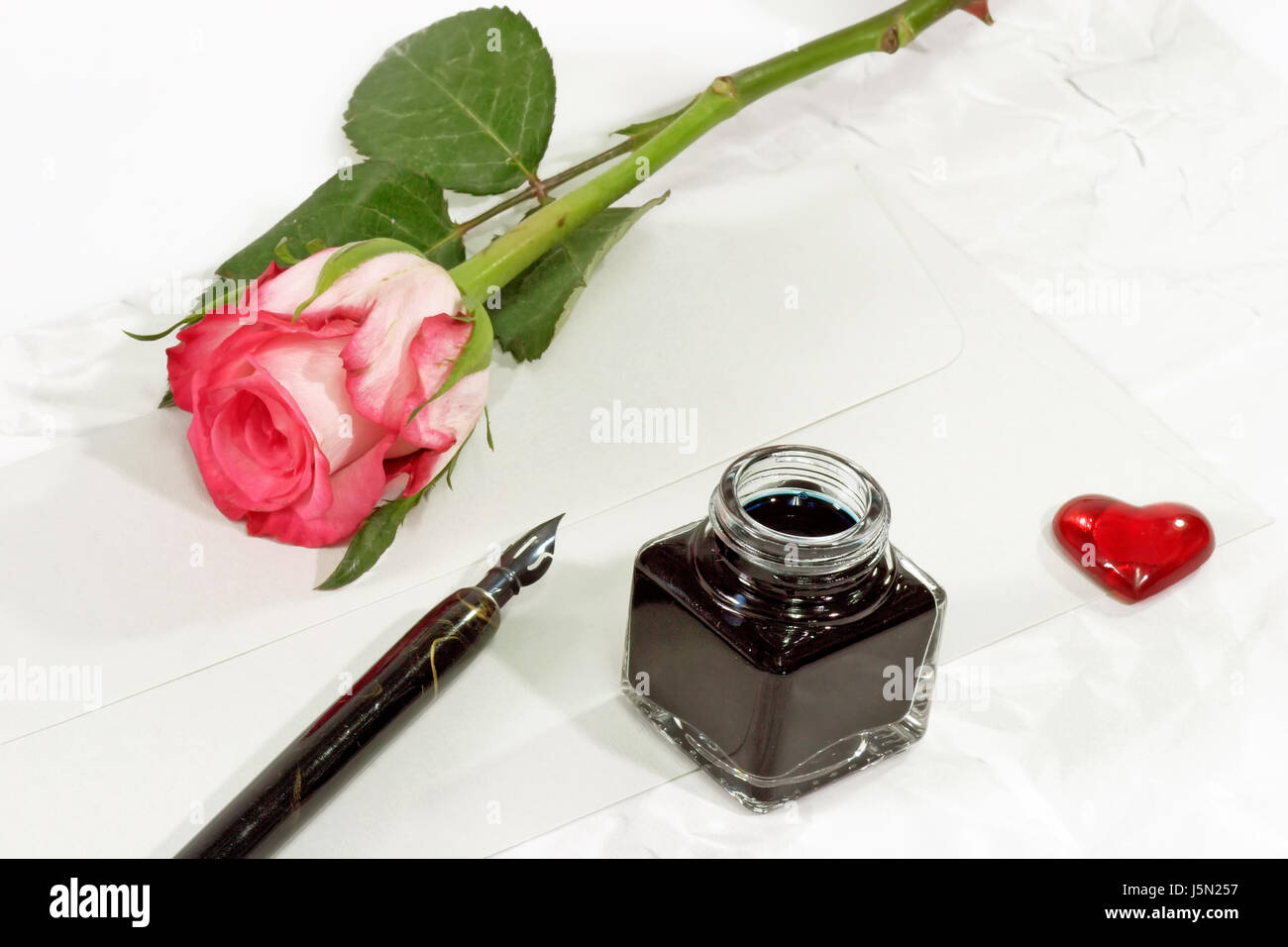 feeling flower rose plant romantic romanticism valentines day love ...