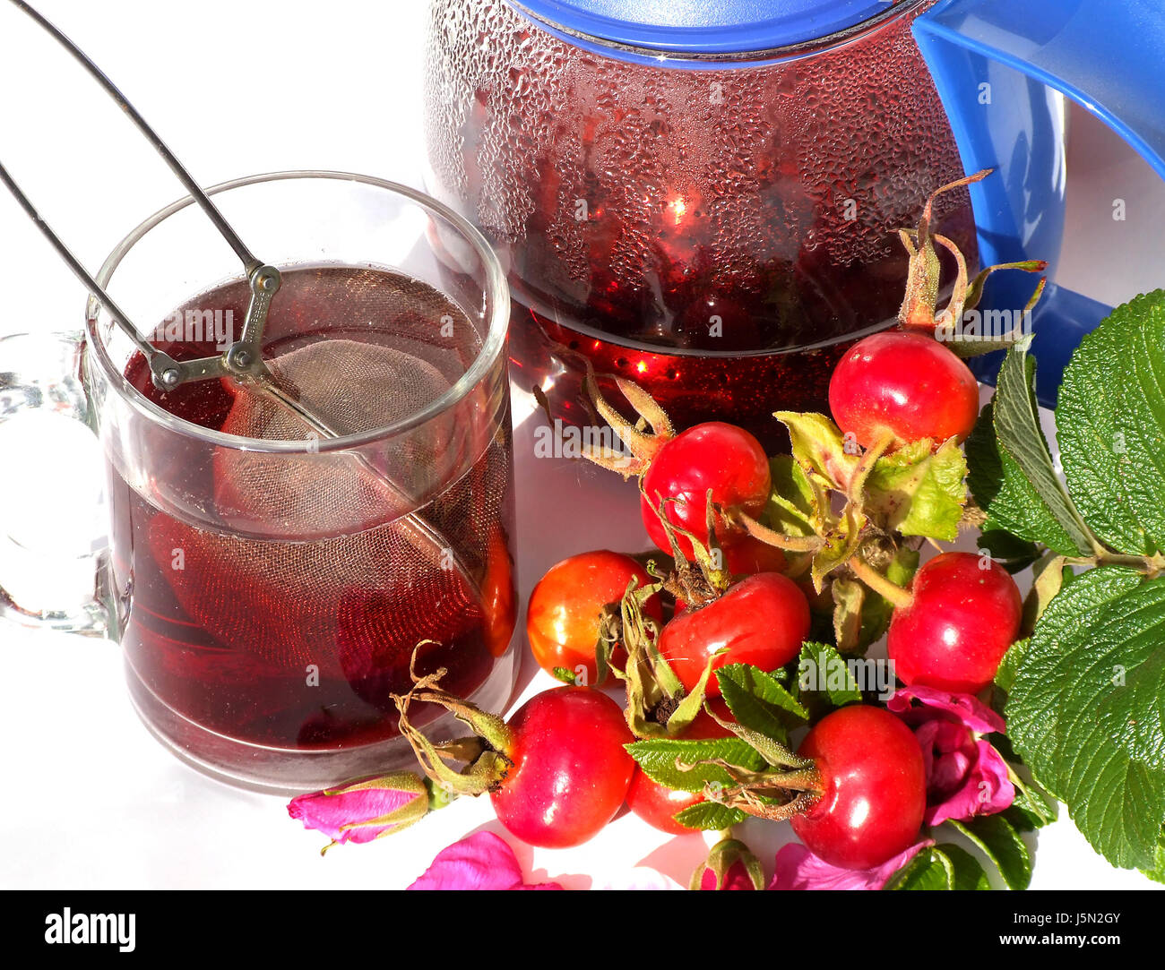 tea health drink drinking bibs haws haw tea strainer brew red ...