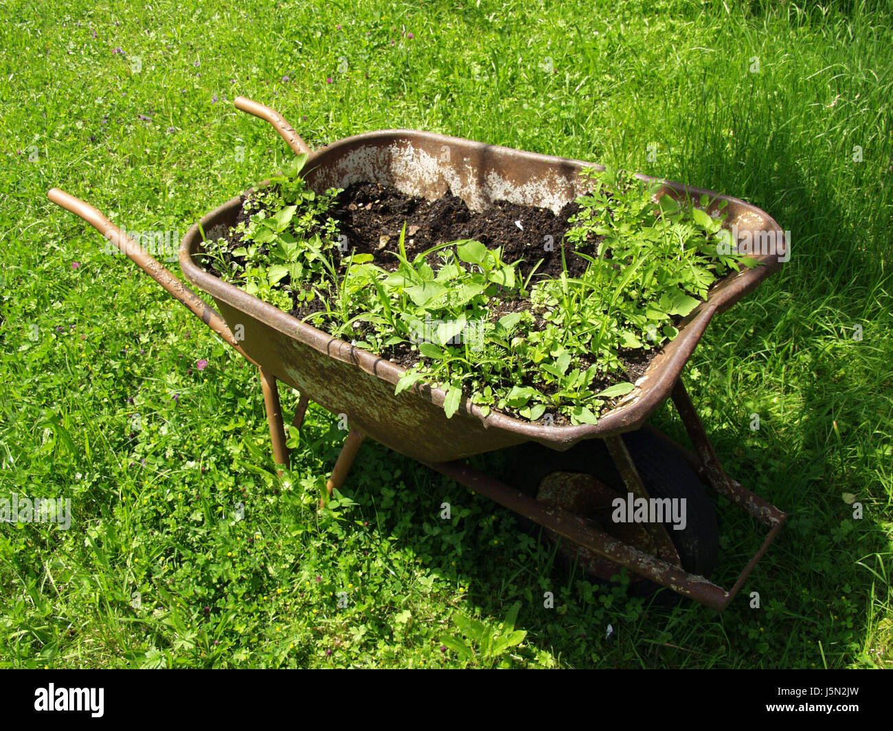 Robbern hi-res stock photography and images - Alamy