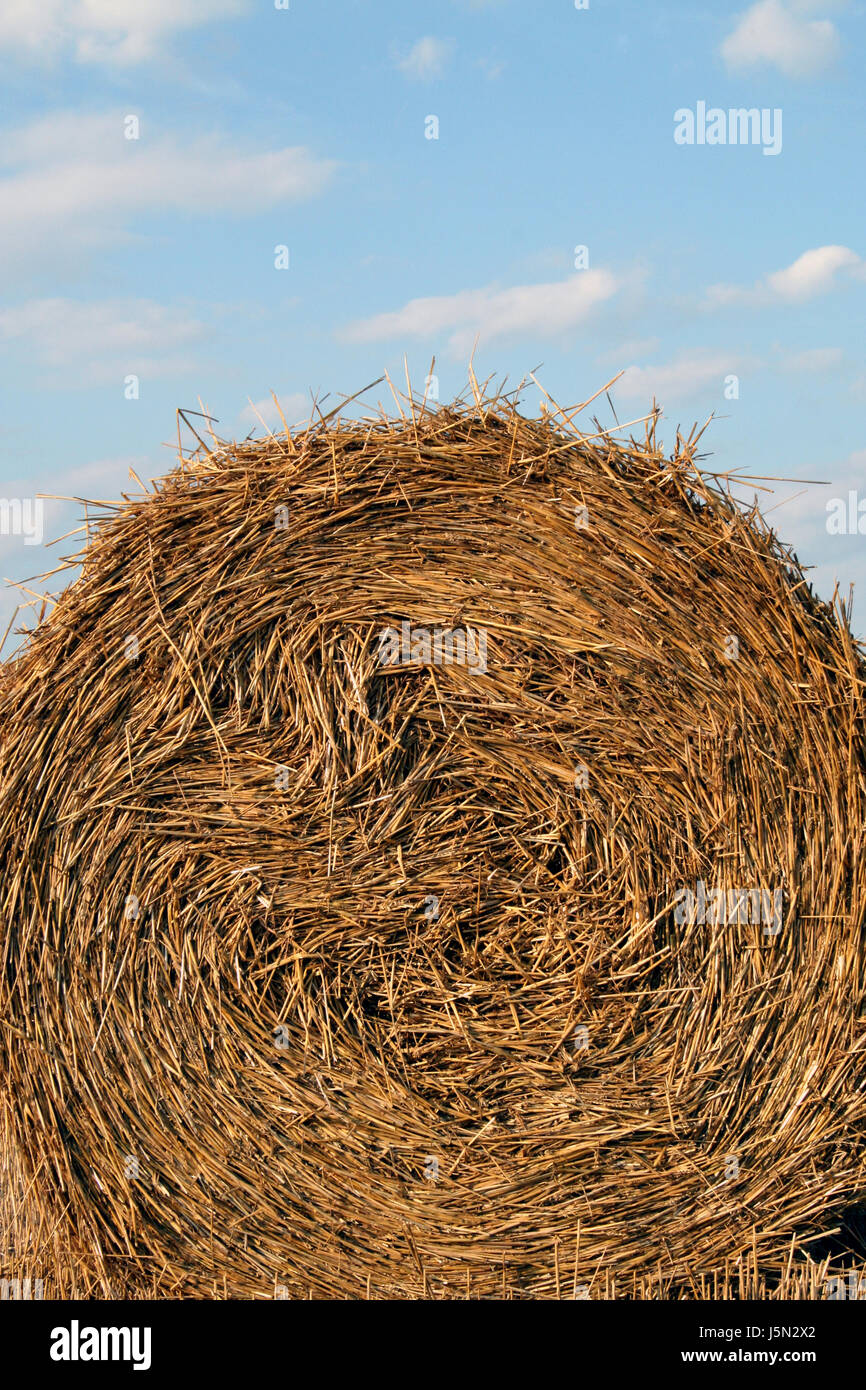 straw bales (3 Stock Photo - Alamy