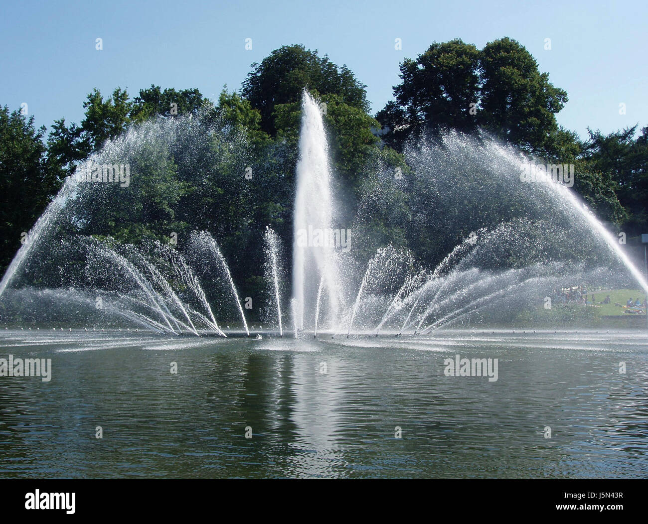Planten blumen hi-res stock photography and images - Alamy