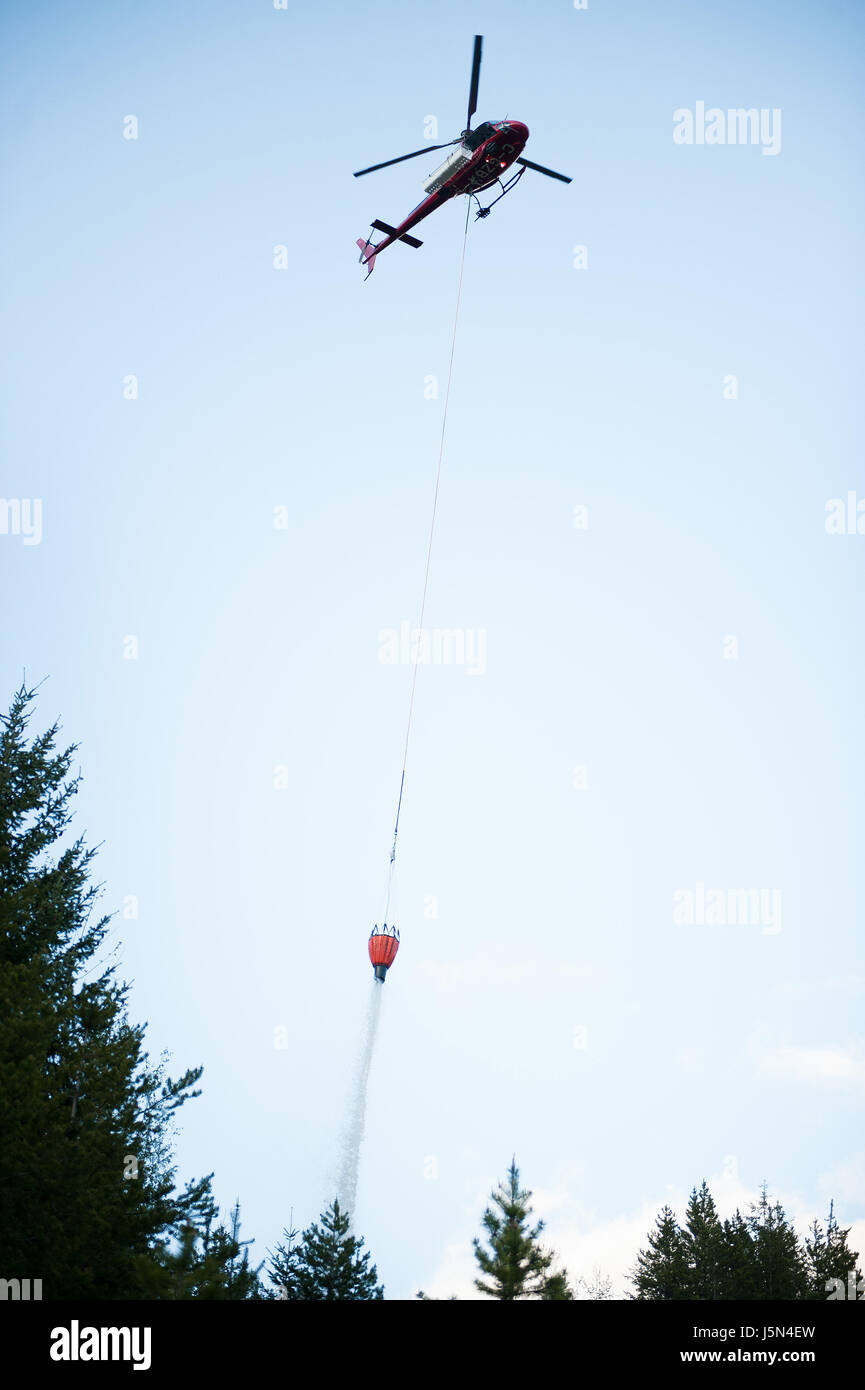 A-350 A-Star helicopters drop water from bucket slung underneath during ...
